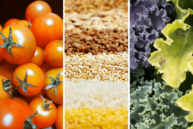 How To Reduce DHT Naturally For Hair Growth - Biotin Rich Foods | Skalp